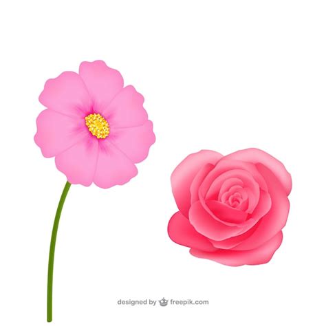 Imágenes De Flor Rosa Animada Descarga Gratuita En Freepik