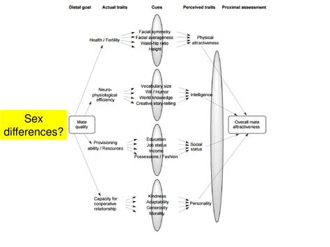 Mate Preferences Evolutionary Lens Model Ppt Download