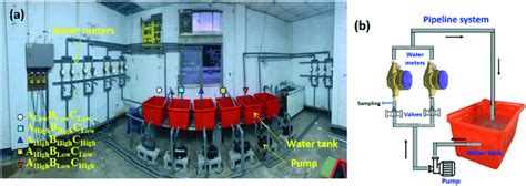 the pipeline experimental setup a actual setup and b a schematic