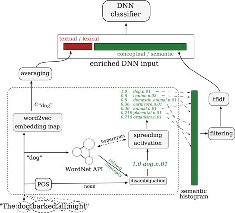An Example Of The Semantic Augmentation Process Leading Up To Download Scientific Diagram