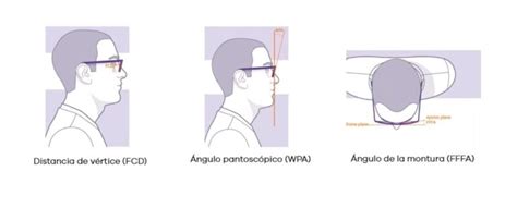 Ángulo Pantoscópico Clave Para Una Visión Óptima Todo Calculadoras
