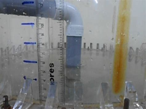 Video Snaps Of Vortex Formation I Download Scientific Diagram