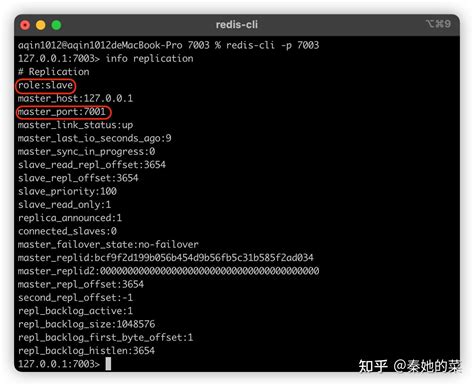 【保姆级】redis集群（cluster）本地案例手把手操作指南（含常见问题以及处理方式） 知乎