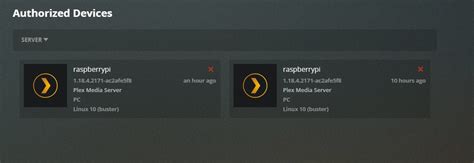 raspberry pi plex keeps making a duplicate server after ever so often