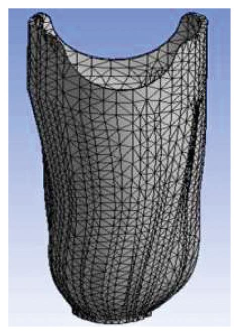 prosthetic socket mesh design [26] download scientific diagram