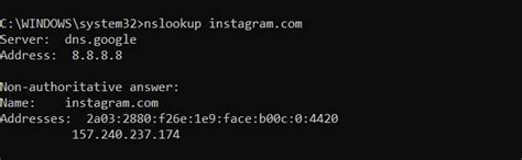 How To Perform Dns Lookups In Python Including Etchosts Askpython