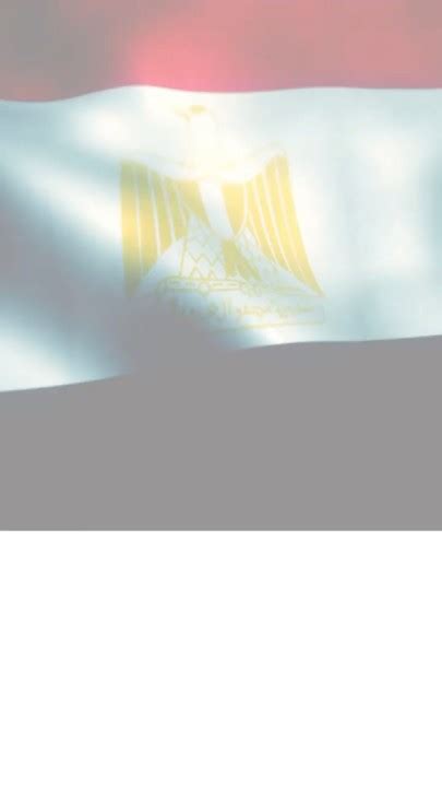 Mohamed Saleh On Linkedin Egypt ️