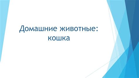 Презентация по развитию речи на тему Домашние животные кошка 1 класс 📚 Учебники