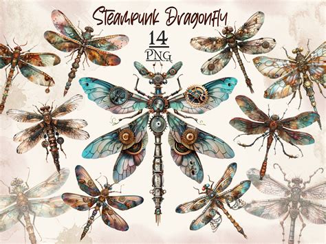 Steampunk Dragonfly Png Bundle Graphic By Fantasydreamworld · Creative