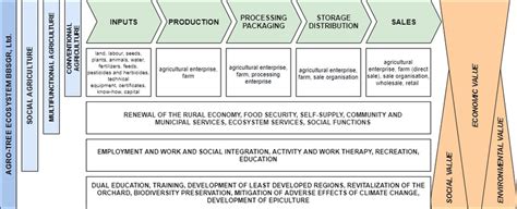 Value Chain Of Agro Tree Ecosystem BBSGR Ltd Source Own Processing Download Scientific Diagram