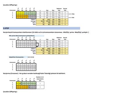 Genetic Algorithm Examples And Presentation In Turkish Ppt