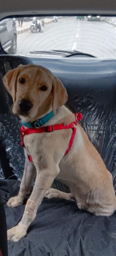 Neha Sathish Sheher On Linkedin Workingattr 20 Comments