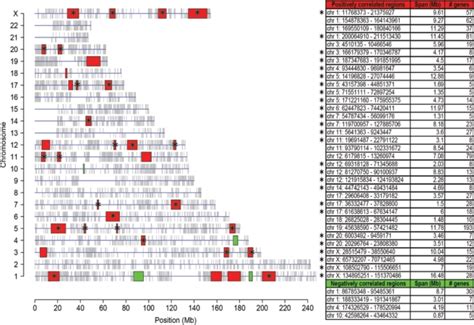 Genomic Positions Of Co Expressed Regions In The Human Chromosomes The