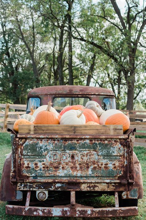 Gaver Farm Is The Fall Festival To Go To In Maryland
