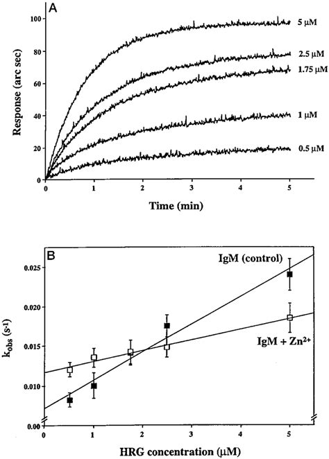 Determination Of The Binding Constant For The Interaction Of Hrg With Download Scientific