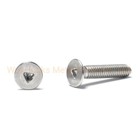 High Quality Professional Stainless Steel Socket Head Triangular
