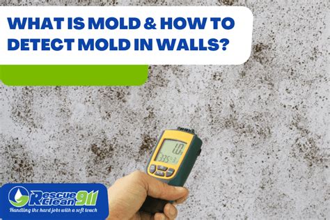 How To Detect Mold In Walls The Ultimate Guide Cleaning 101