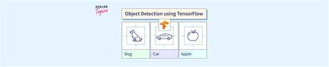 object detection using tensorflow scaler topics