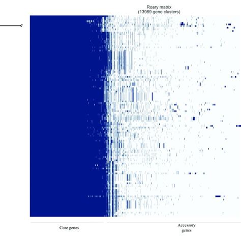 gene presence absence matrix from pangenome analysis of 123 e coli
