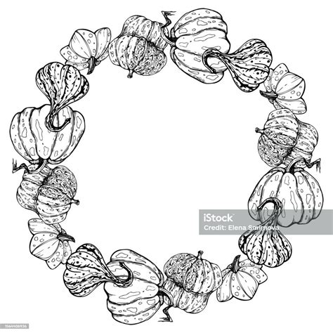 손으로 그린 잉크 벡터 호박 조롱박 스쿼시 추수감사절 할로윈 수확 농사를 위한 스케치 일러스트레이션 아트 화환 프레임 개요 레스토랑 메뉴 인쇄 카페 웹사이트 초대장 디자인