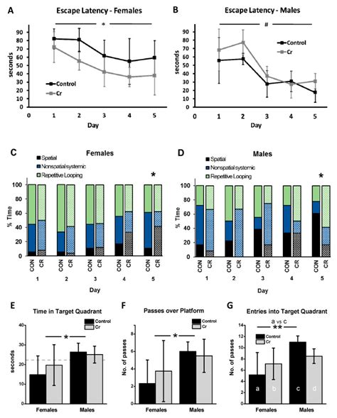 Sex Specific Effects Of Chronic Creatine Supplementation On Hippocampal