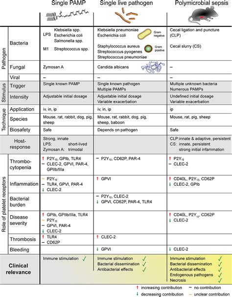 Platelet Distribution Width And Sepsis At Frances Fisk Blog