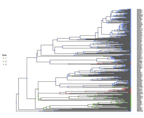 Revbayes Discrete Morphology Ancestral State Estimation