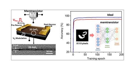Artificial Synapse Based On A 2d Sno2 Memtransistor With Dynamically
