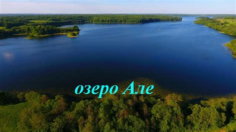 Продажа земли сельхозназначения стоимость продажа земли сельскохозяйственного назначения цена в