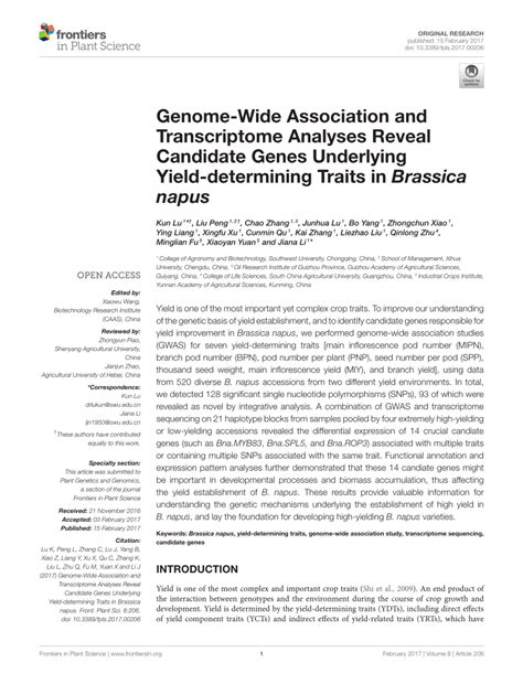 Pdf Genome Wide Association And Transcriptome Analyses Reveal Candidate Genes Underlying Yield