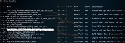 why i love shellshock