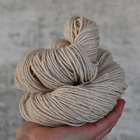 Eco Dk Set Of 10 Skeins Merino Wool Wool2dye4