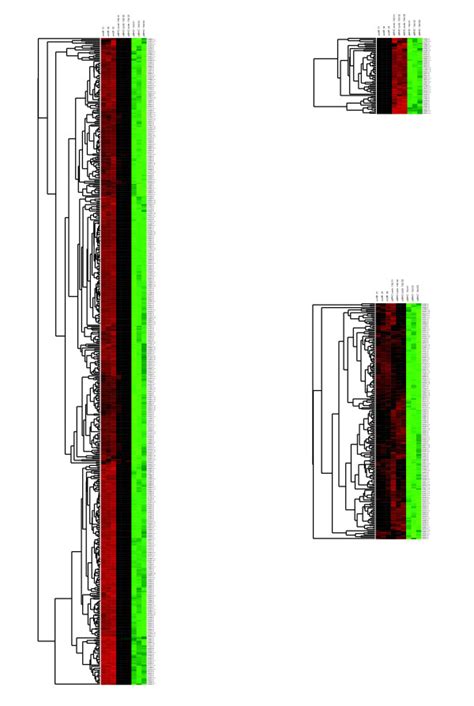 hierarchical clustering of probe sets identified as downregulated in