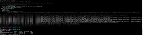 k8s 证书过期更新 重建kubernetes组件证书方法 csdn博客