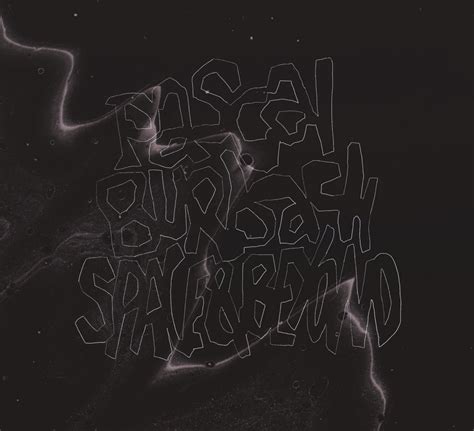 space and beyond pascal burbach