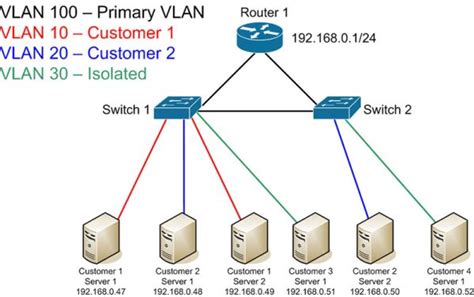 Private Vlan Là Gì Giải Thích Chi Tiết Về Pvlan Và Cách Hoạt động Thiết Bị Mạng Giá Rẻ