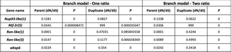 Ratio Of Nonsynonymous Substitutions Per Nonsynonymous Sites To Download Scientific Diagram