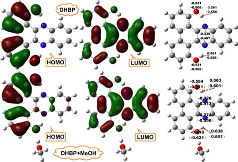 Frontier Molecular Orbitals Homo And Lumo Of Dhbp And Dhbp Meoh The