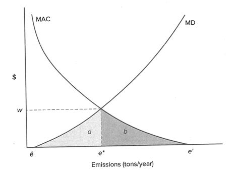 Solved Question 1 Why Is E Is The Optimal