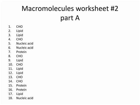 50 Macromolecules Worksheet High School Chessmuseum Template Library