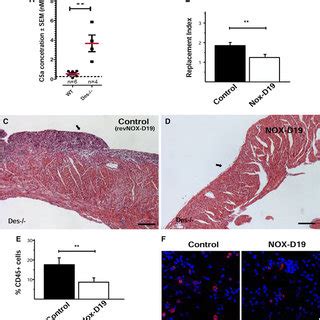 C5a Is Increased In The Serum Of Des Mice And Inhibition Of C5a Download Scientific Diagram