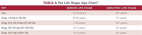 Aging Gracefully With Cognitive Dysfunction Syndrome Todays Veterinary Nurse