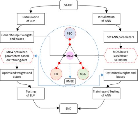 flow chart showing the methodological steps of the hybridization