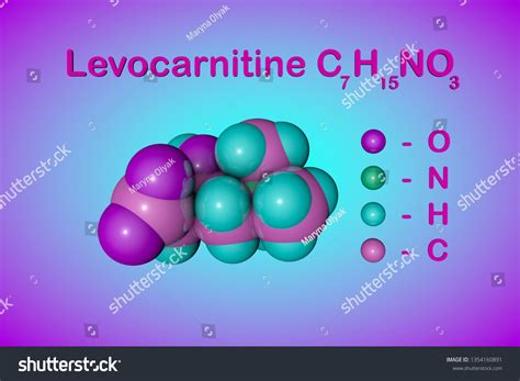 Structural Chemical Formula Molecular Model Levocarnitine Stock