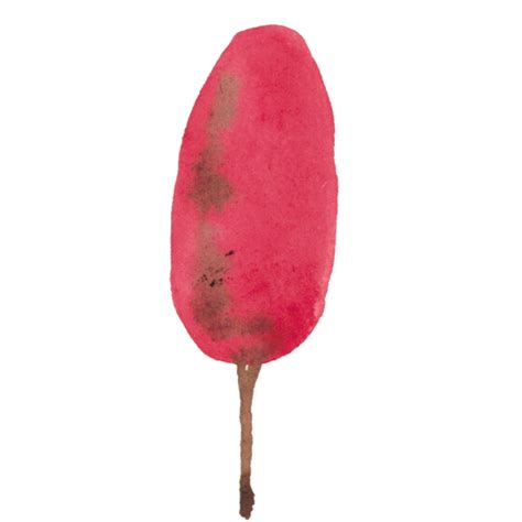 Trees Change Color In Autumn Season PNG