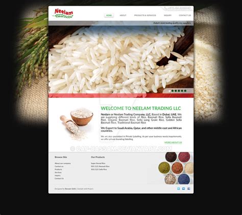 web design for neelam 01 by cap bassam on deviantart