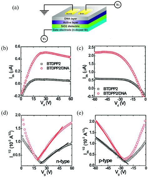 A Schematic Configuration Of The Ofet Device Based On Dna As