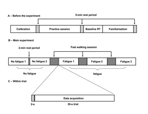 schematic representation of the five experimental sessions a