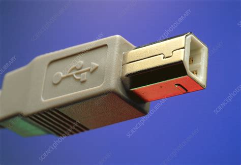 USB Connecting Plug Stock Image T Science Photo Library