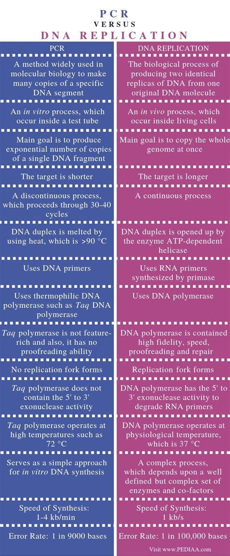What Is The Difference Between Pcr And Dna Replication Pediaacom